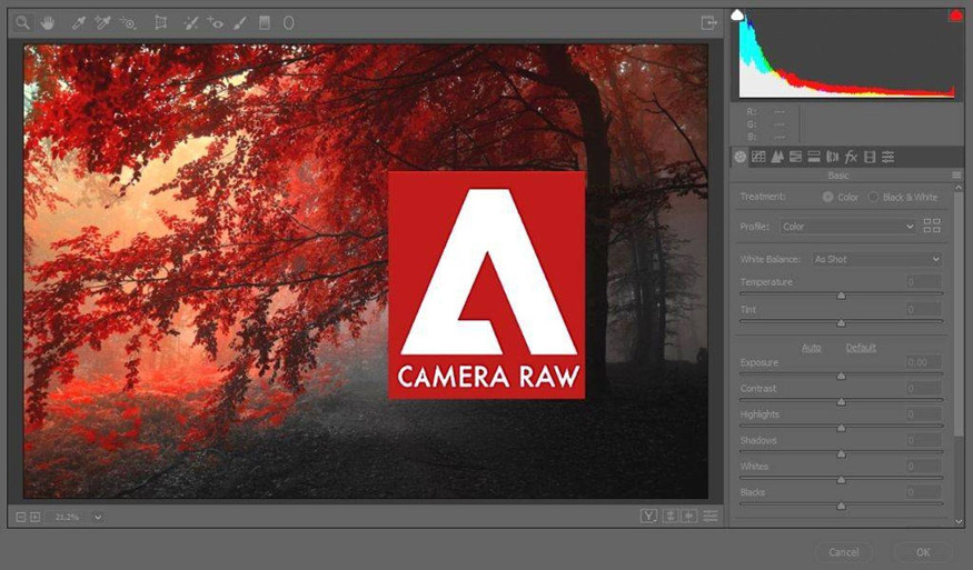 comparing-camera-raw-and-lightroom